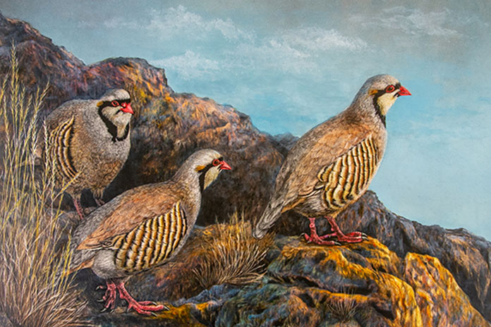 Fish & Wildlife Art Contest to Award $2,000 to Winning Artists ...