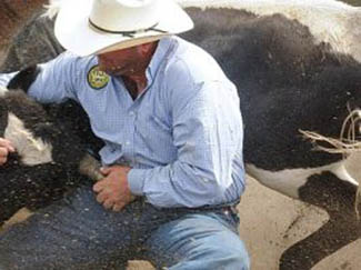 Oregon Trail Pro Rodeo to Celebrate 100th Anniversary in August ...