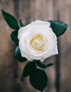 Margaret Lowry Passes Away at 101 - Northeast Oregon Now