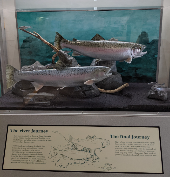 History, Culture and Industry: The Pacific Salmon Visitor Information ...