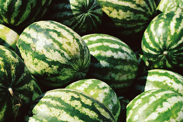 Annual Irrigon Watermelon Festival Gets Under Way This Saturday ...