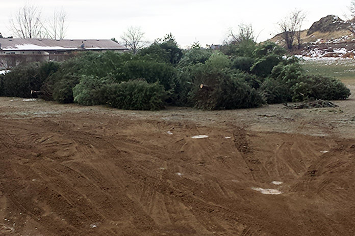 Christmas Trees Can Be Dropped Off at Hermiston's Butte Park ...