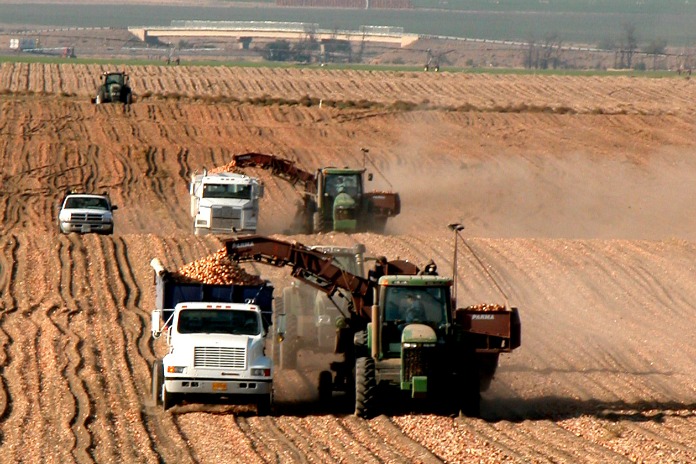 Department of Agriculture Lists Oregon's Top 20 Commodities - Northeast ...